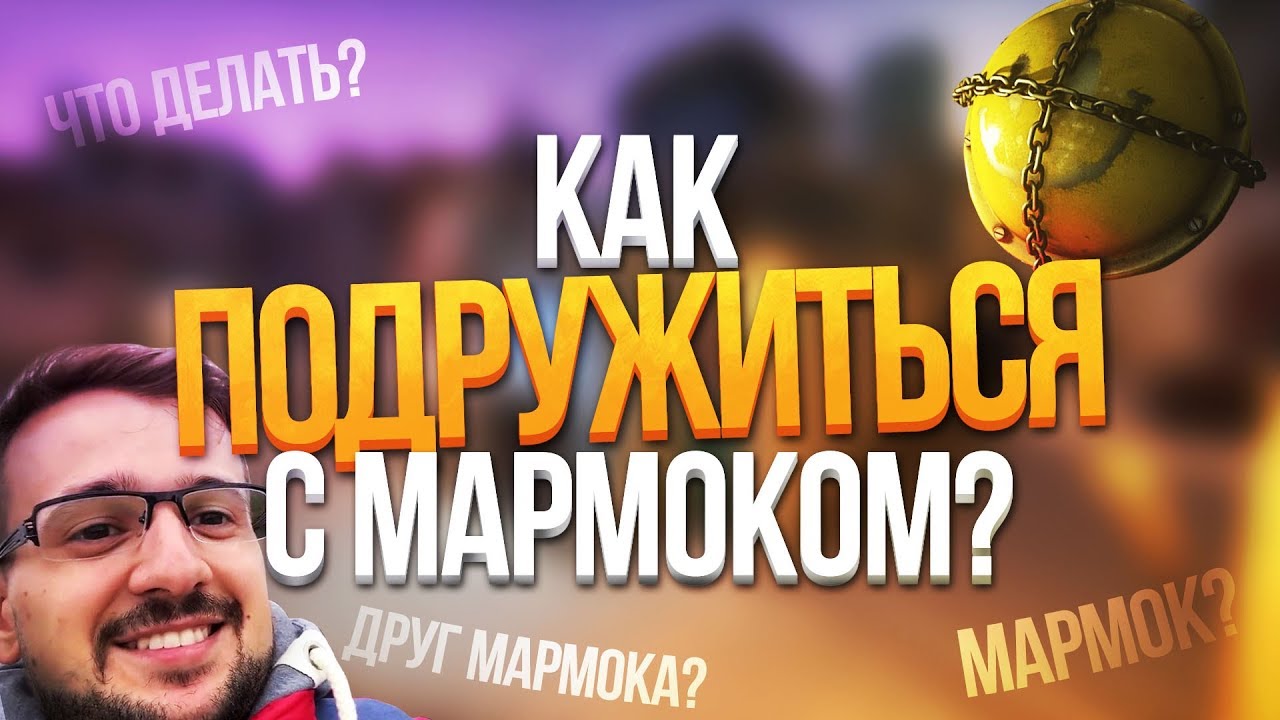 КАК ПОДРУЖИТЬСЯ С МАРМОКОМ? MR MARMOK - YouTube