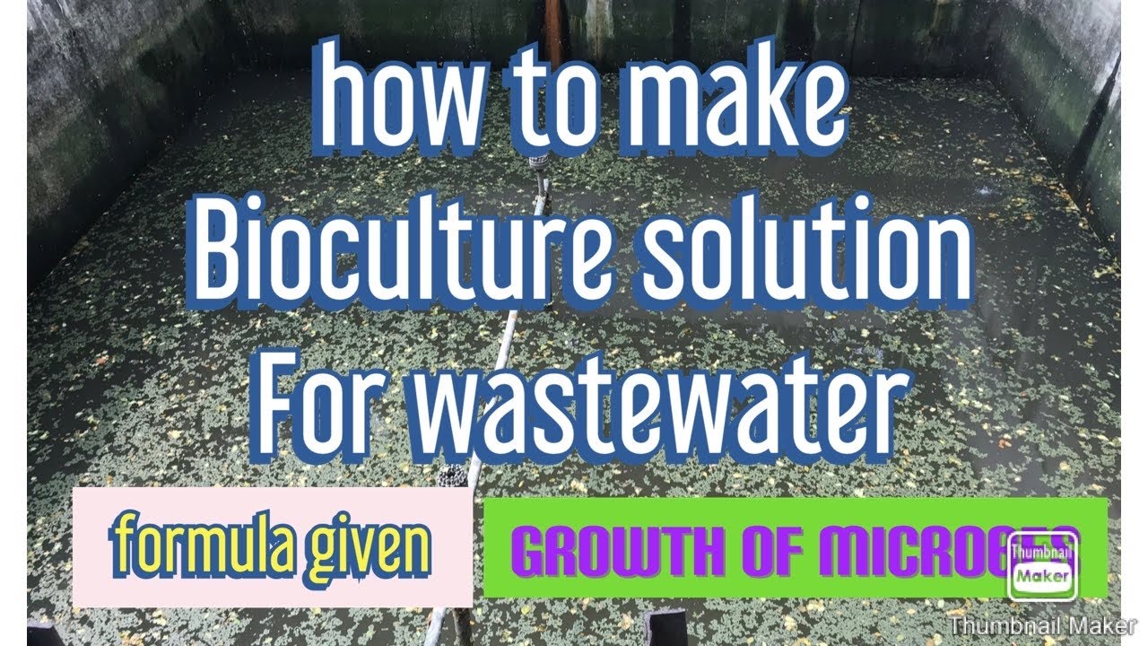 How to make a bioculture solution - YouTube