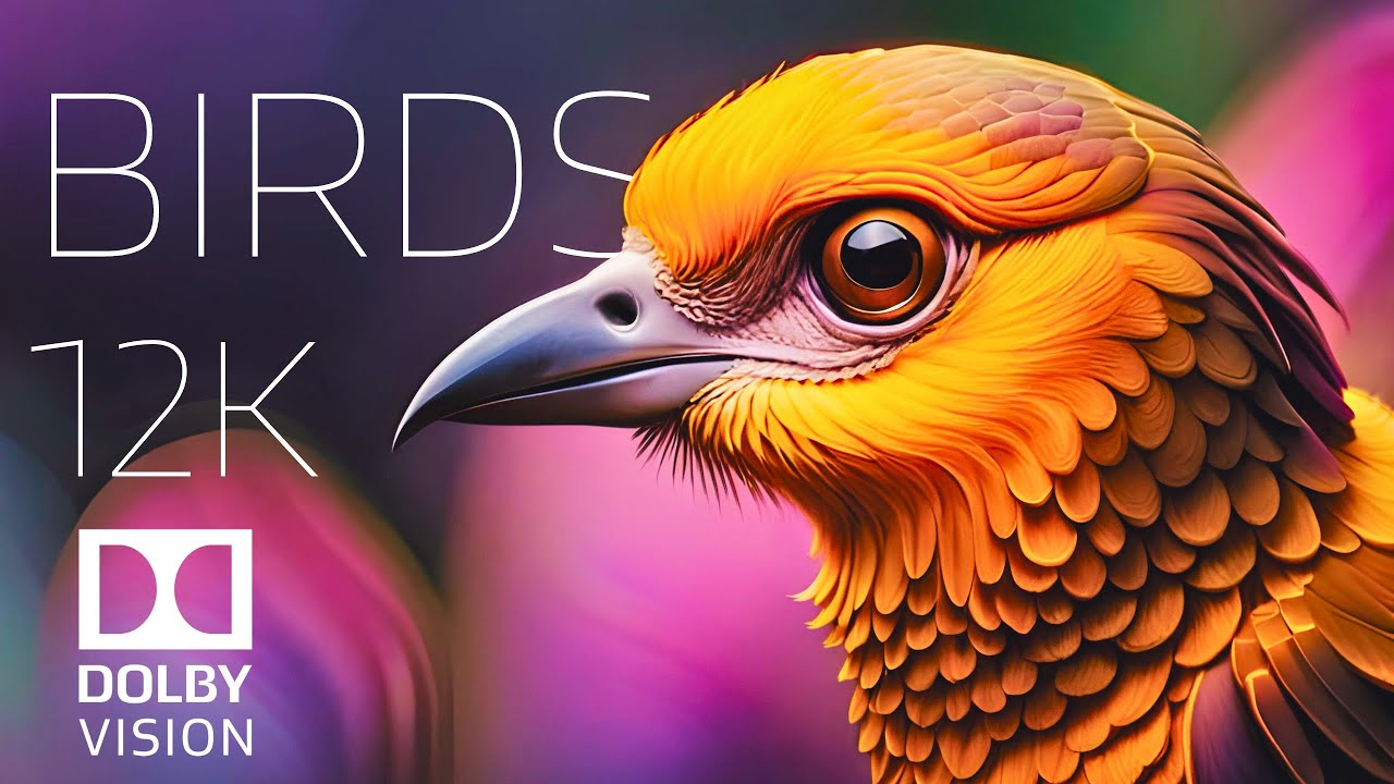 Beautiful Birds In 12K HDR 120 FPS || Dolby Vision And Calming Music ...