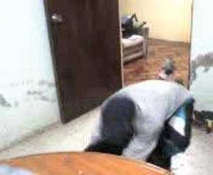 STFU (John Cena) - YouTube