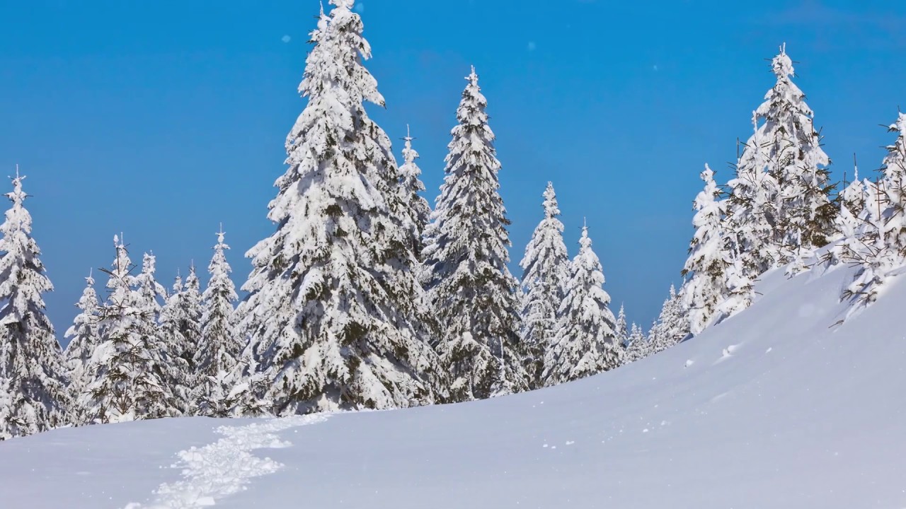 Relaxing Peaceful Instrumental Music, Flute, Violin and Harp "Mountain ...