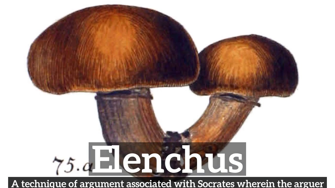 What is Elenchus? | How to Say Elenchus in English? | How Does Elenchus ...