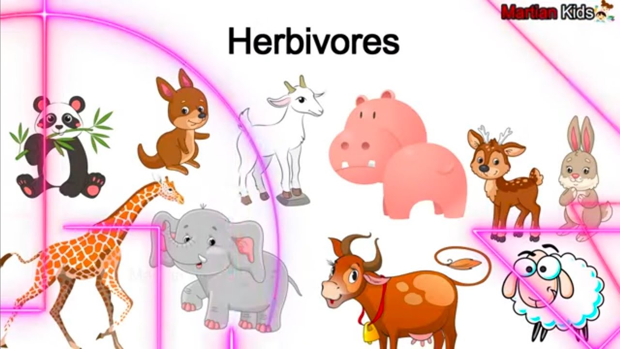 Learn about Herbivores Animals for kids | lets Learn plants eat Animals ...
