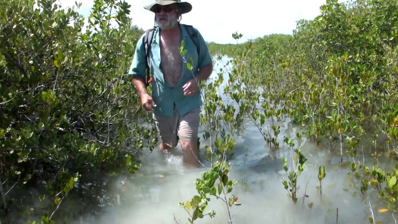 2012-07 Florida - Dumbass Swamp People Audition - YouTube
