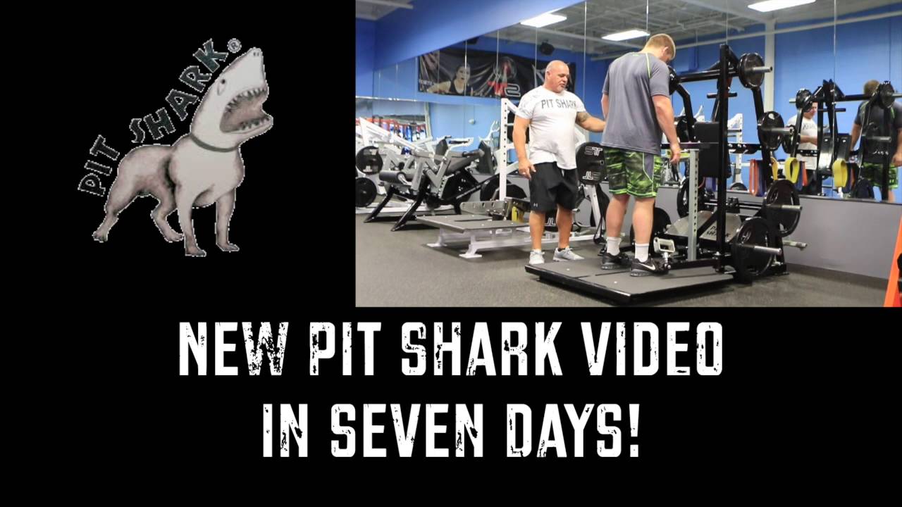 Pit Shark Short Frame Reverse Lunge - YouTube