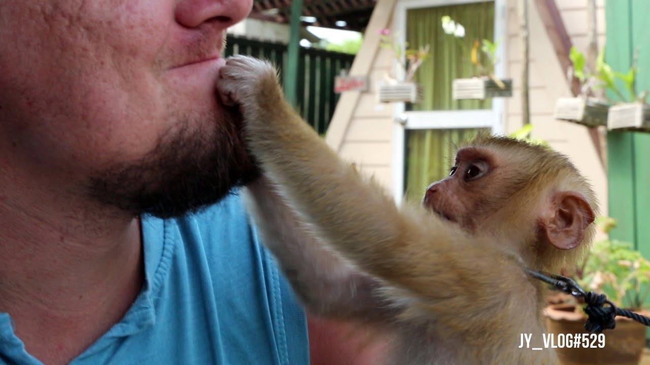 Monkey Fingers in Paradise - YouTube