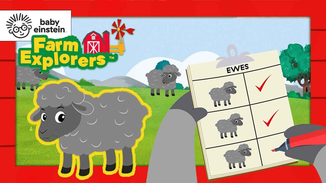 NEW! Sequencing with Sheep | Farm Explorers | Baby Einstein | Education ...