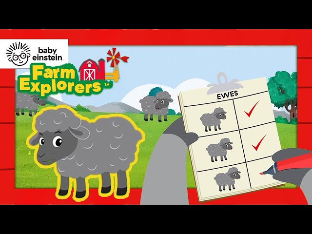 NEW! Sequencing with Sheep | Farm Explorers | Baby Einstein | Education ...