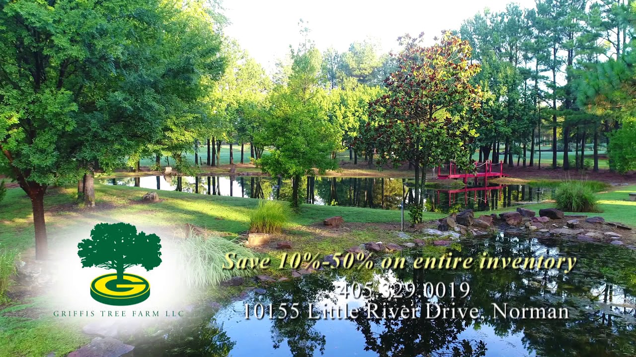 Griffis Tree Farm 15 - YouTube