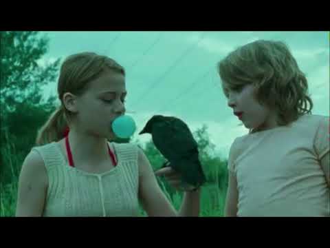 BANDE-ANNONCE : Kauwboy