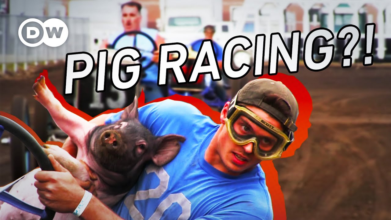 The Wildest Races From Across the Globe: From Pig Racing to Super Truck ...