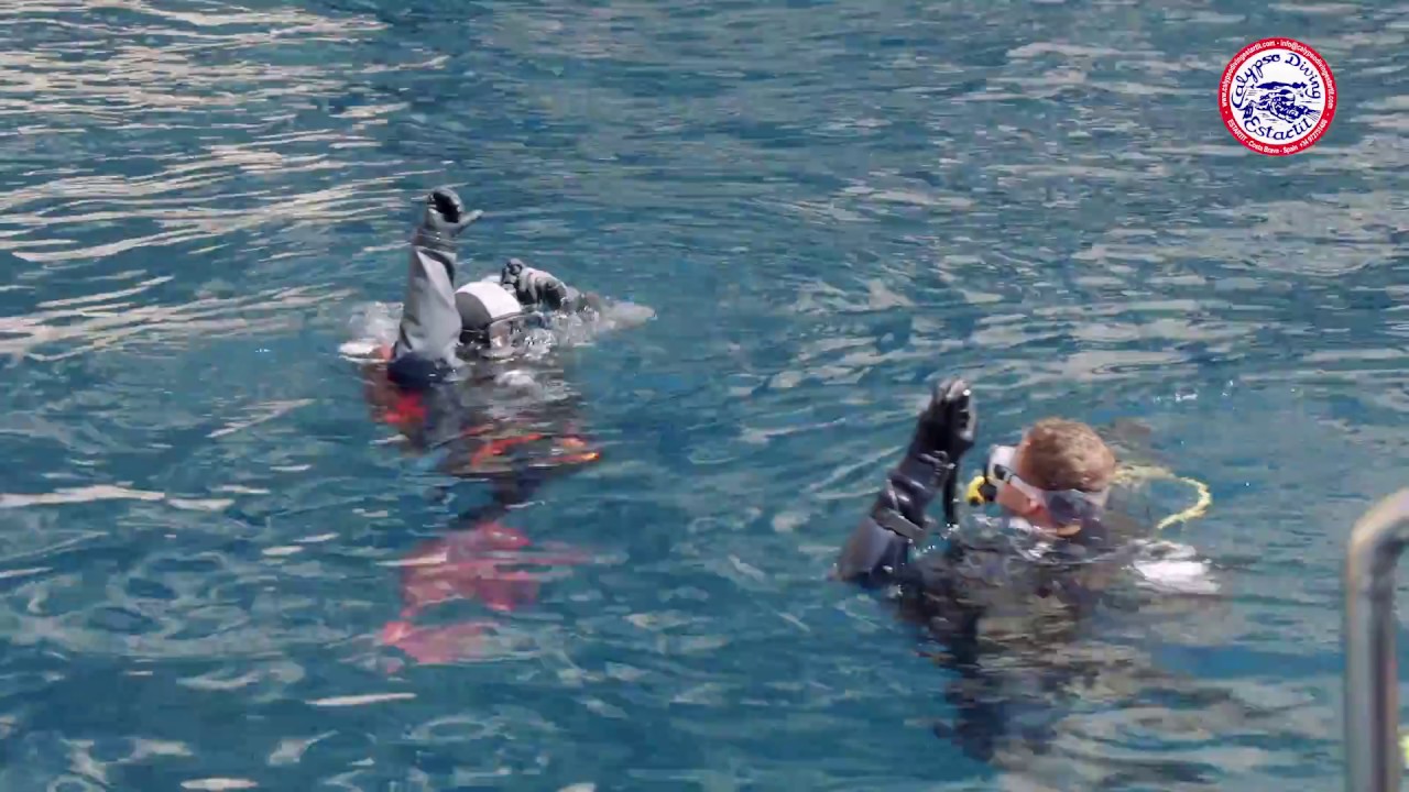 Calypso Diving Estartit - YouTube