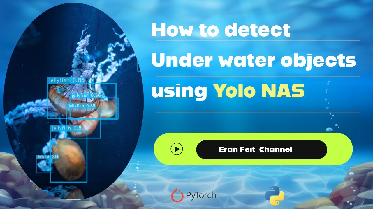 How to Detect Under the Sea classes using Deep learning | Yolo-Nas ...