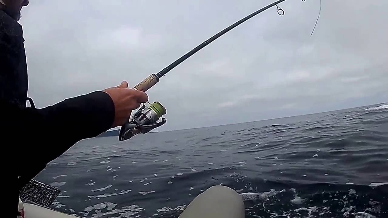 Pesca robalo desde embarcación en la costa da morte. - YouTube