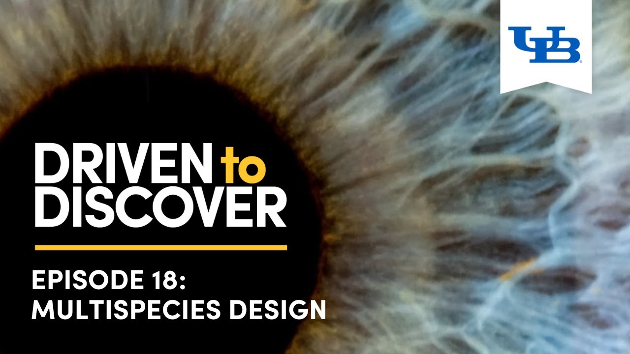 Multispecies Design with Joyce Hwang - YouTube