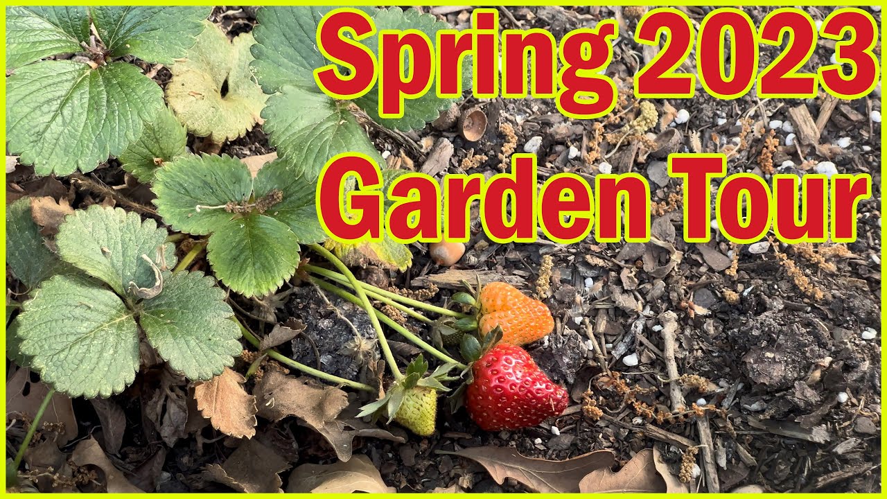 Spring Garden Tour March 2023 - YouTube