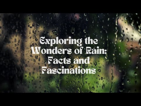 The Wonders of Rain: 30 Amazing Facts About This Precious Resource ☔️🌧️ ...