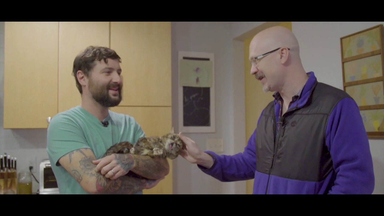 Mike Bridavsky and Lil Bub - YouTube
