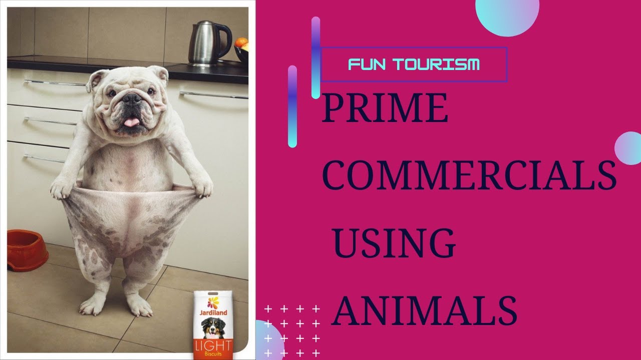5 Best Animal Advertisements | Prime Commercials using Animals - YouTube