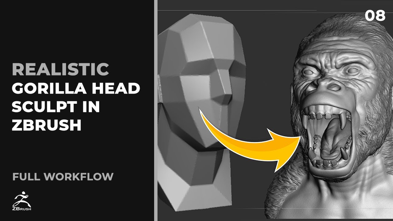 08 GORILLA FUR SCULPT IN ZBRUSH - YouTube