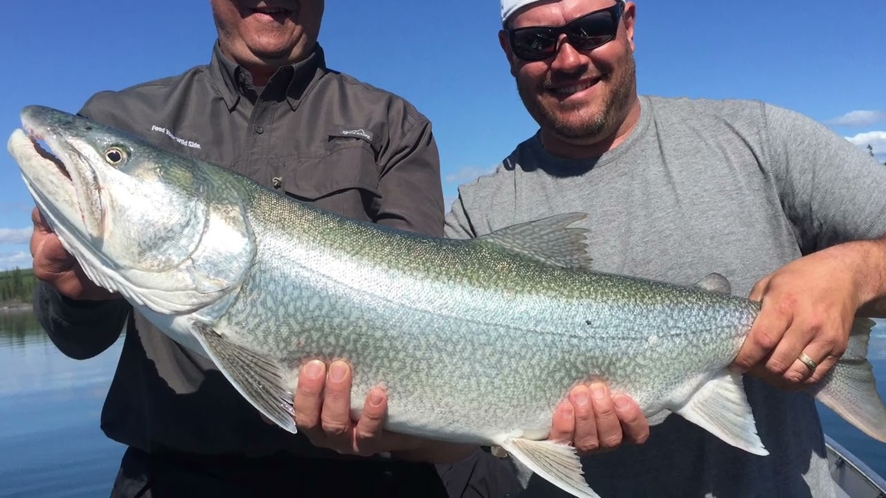 Fishing for Lake Trout on the East Arm of Great Slave Lake, Northwest ...
