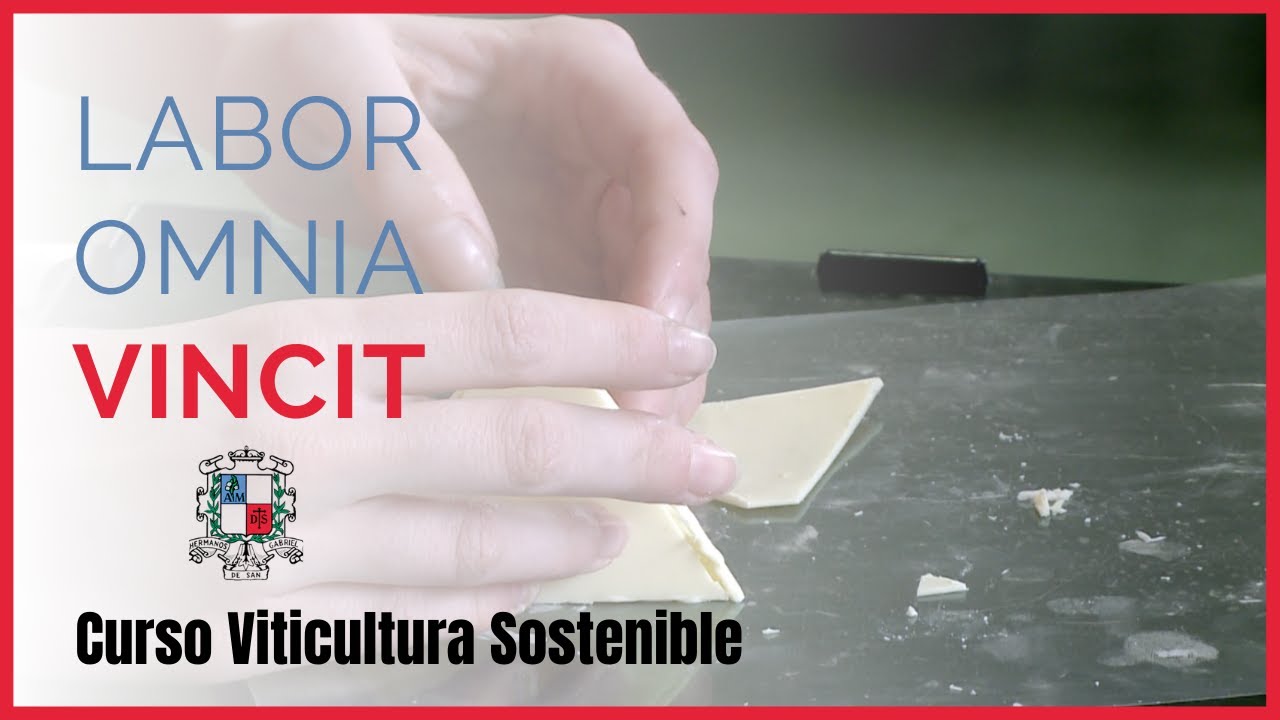 LABOR OMNIA VINCIT | Curso Viticultura Sostenible - YouTube
