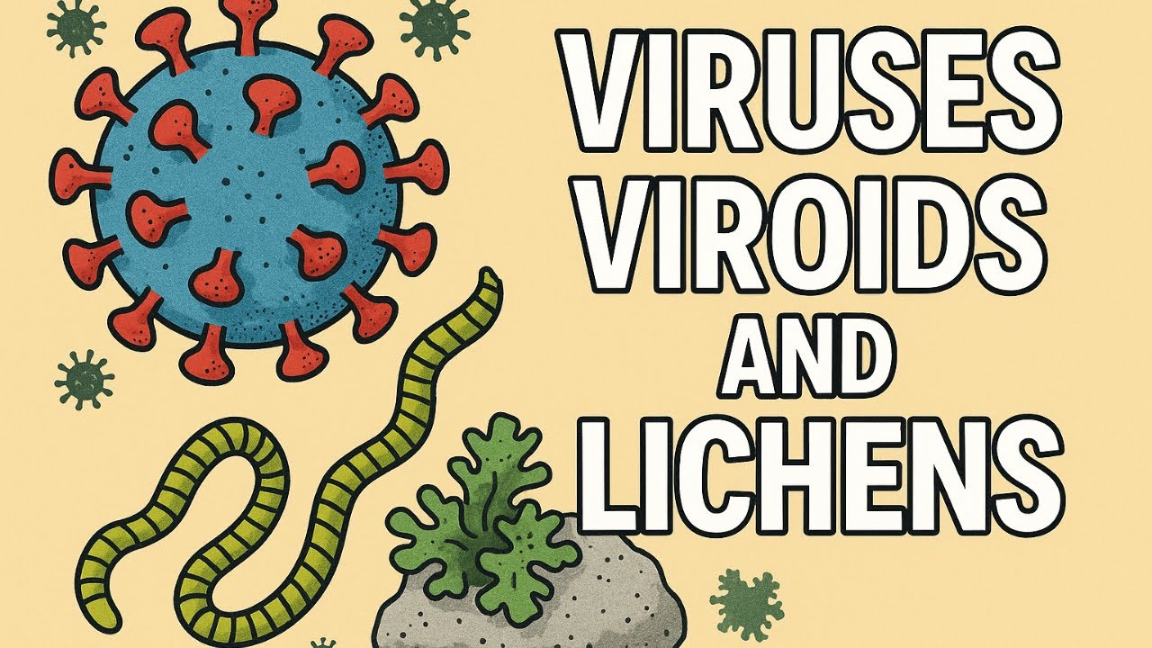 "Viruses, Viroids & Lichens Explained Simply | Biology Made Easy" - YouTube