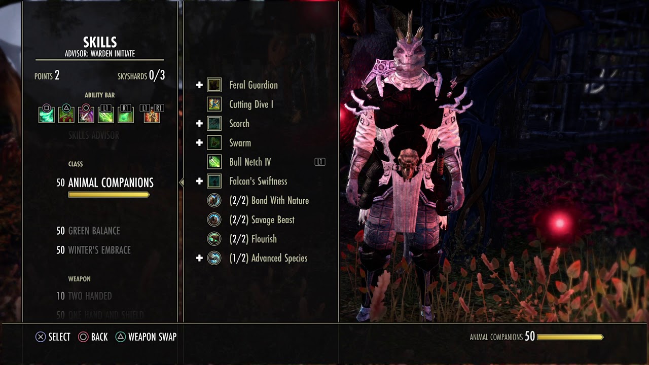 The Elder Scrolls Online: Warden Tank - YouTube