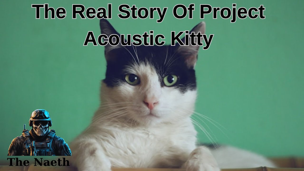 The Real Story Of Project Acoustic Kitty | Cold War - YouTube
