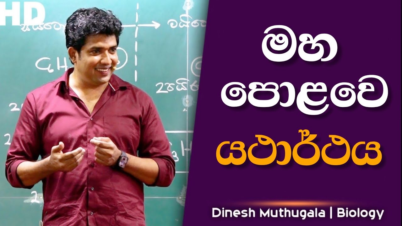 මහ පොළවෙ යථාර්ථය | Dr.Dinesh Muthugala #dineshmuthugala - YouTube