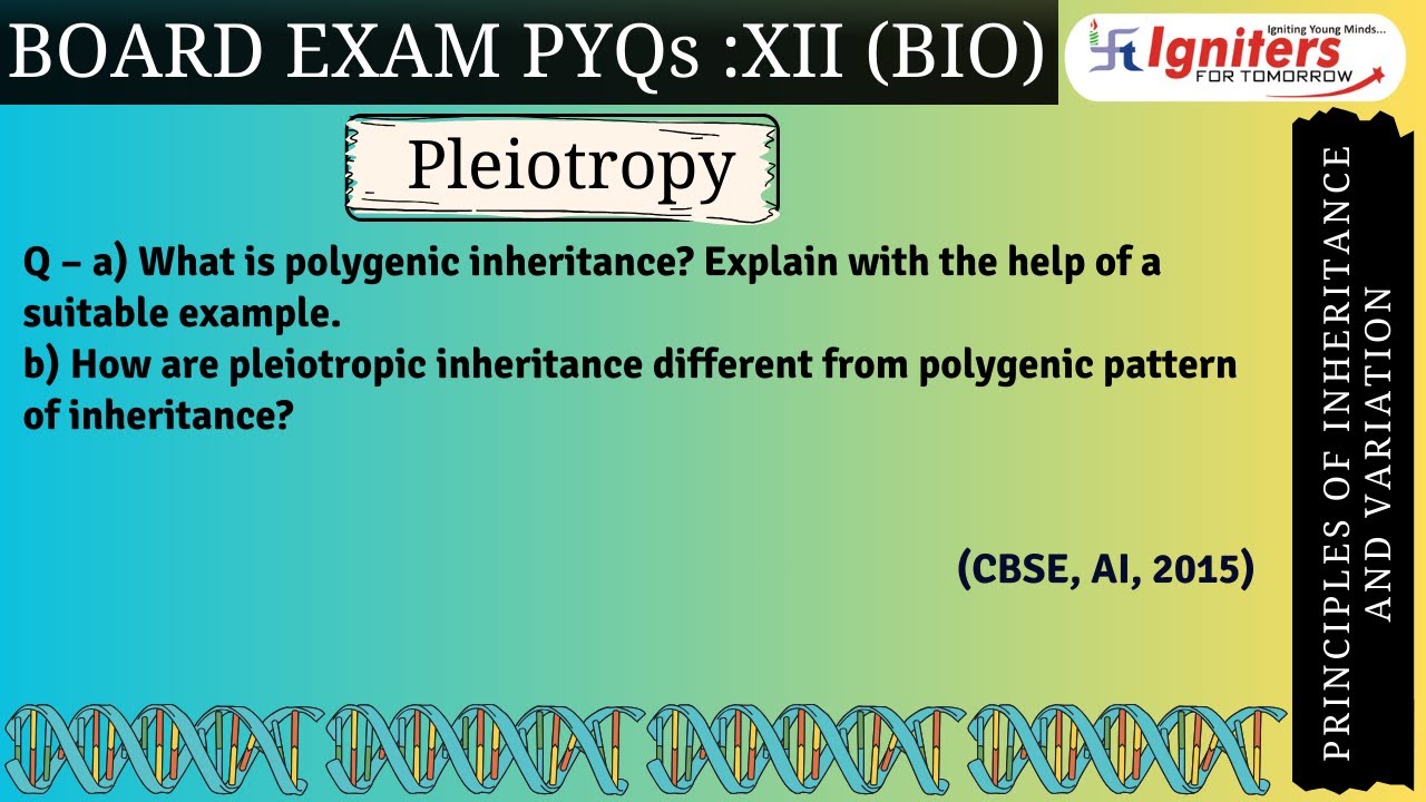 What is polygenic inheritance? Explain with the help of a suitable ...
