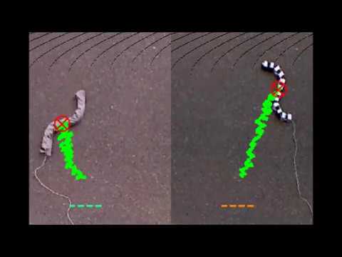 Artificial Scale-Aided Snake-like Locomotion: Lateral Undulation on ...