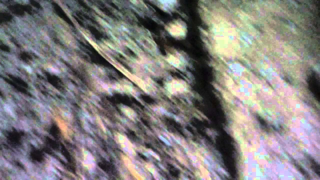 SAM 2015 - YouTube
