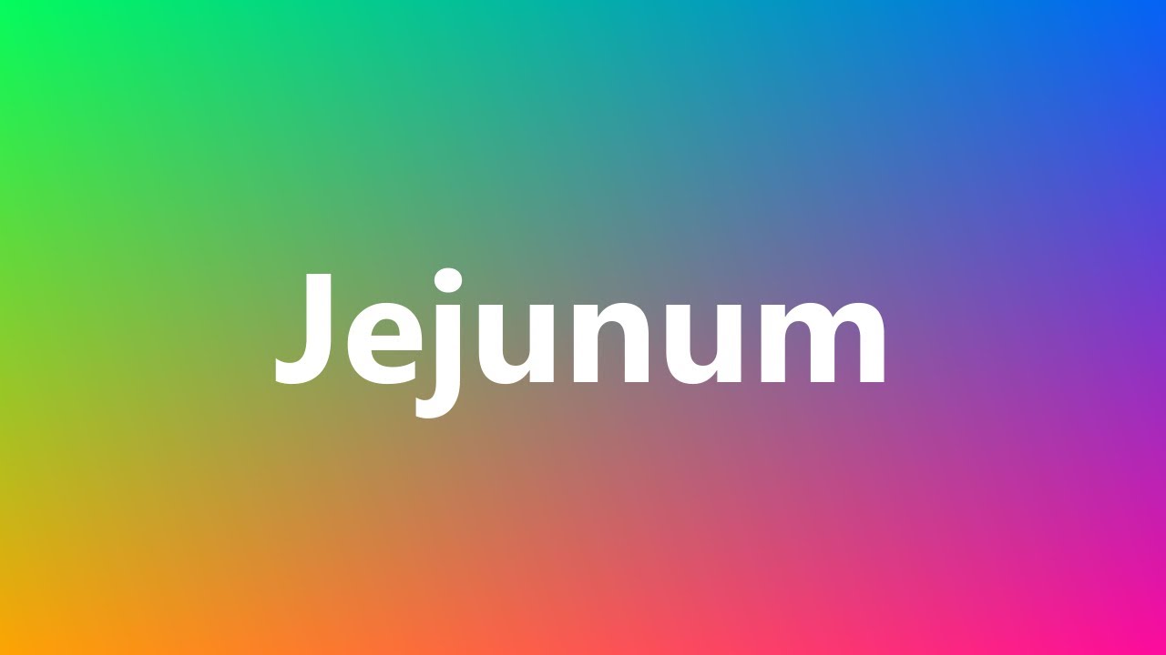 Jejunum - Medical Definition and Pronunciation - YouTube