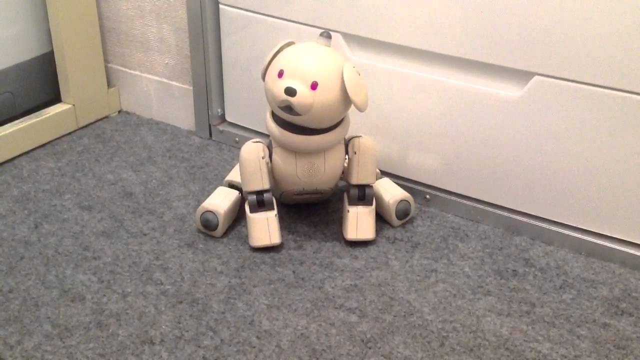 AIBO ERS-311 な~に？ - YouTube