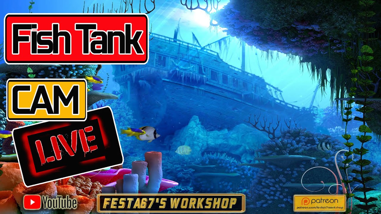 Fish Tank Cam [Live] 31/7/21 - YouTube