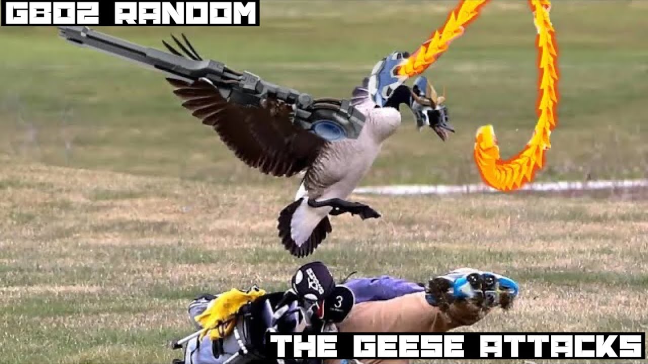 GBO2 Random|-|The Geese Attacks - YouTube
