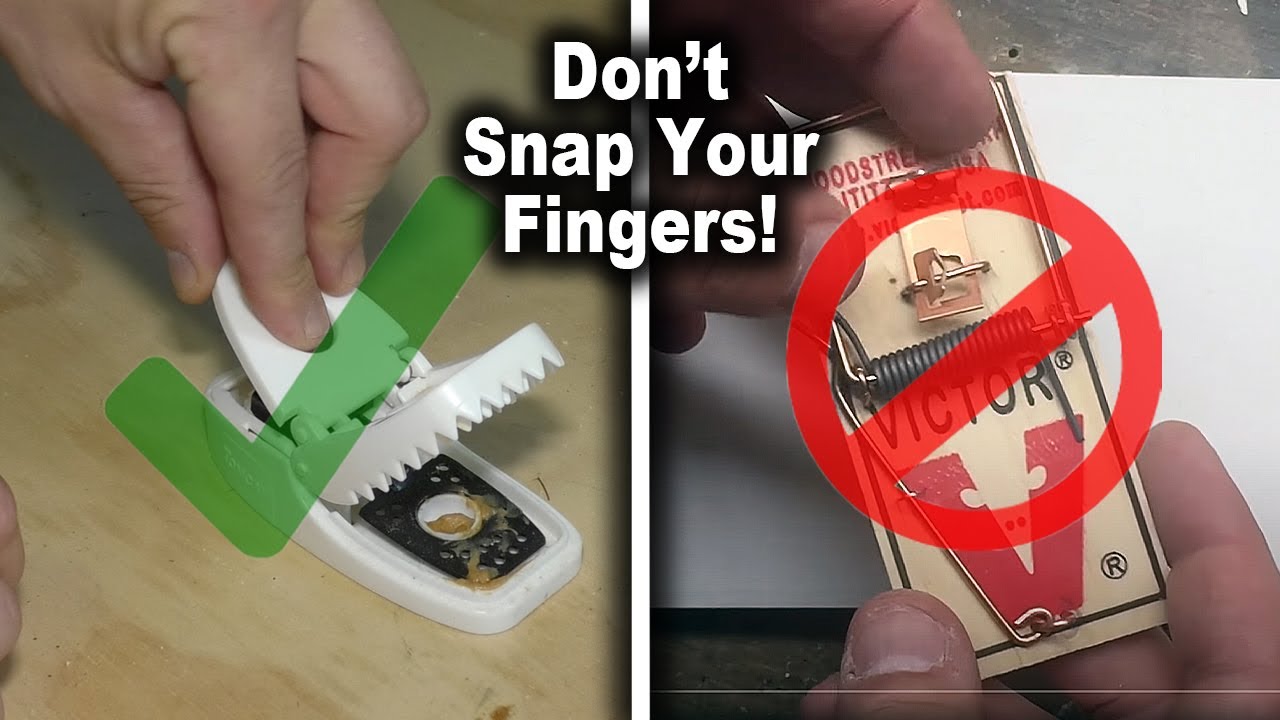 The Easiest Mouse Trap to Set Ever | TomCat Press 'N Set - YouTube