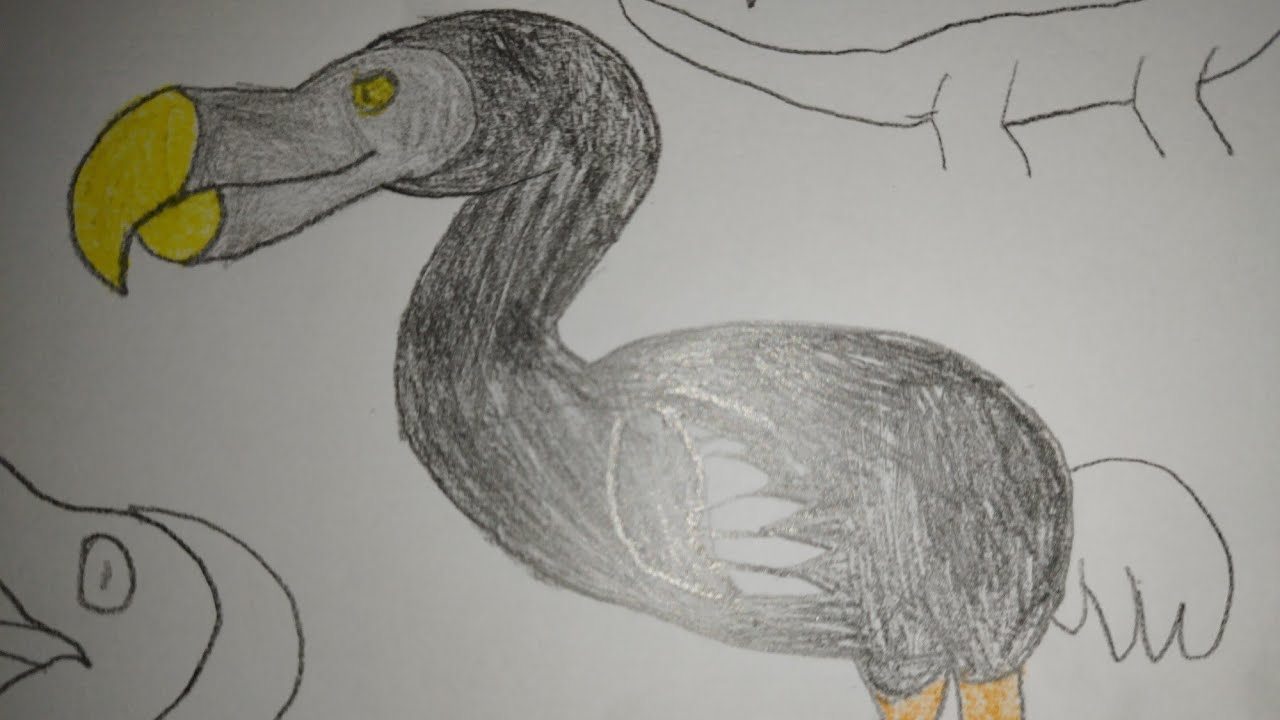 Sound Effects-Dodo - YouTube