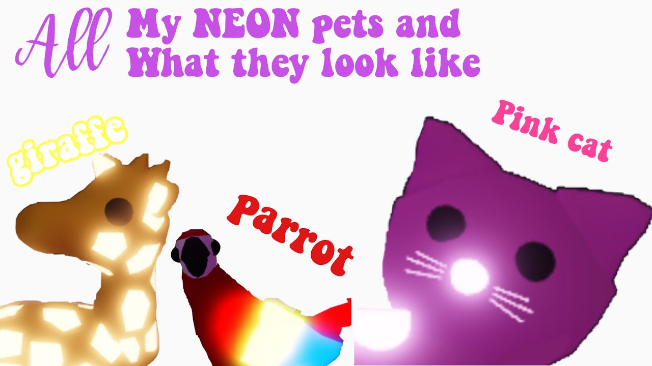 All my neon pets and what they look like! - YouTube