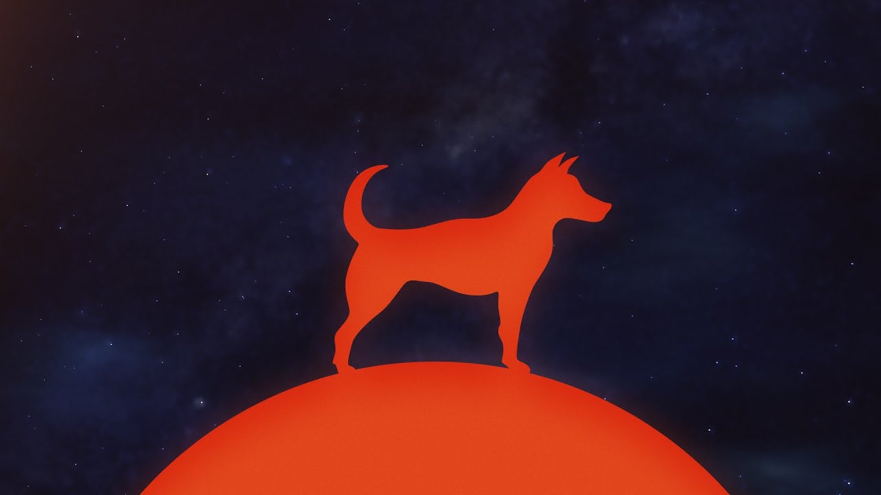 Laika- The First space Dog - TMS || What happened to First Dog in Space ...