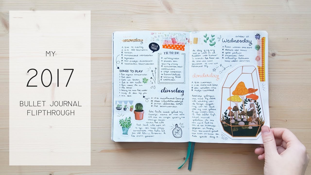 My 2017 Bullet Journal flipthrough - YouTube