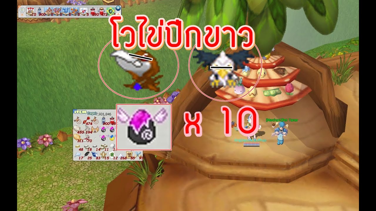 Seal Plus Online Classic โวไข่ปีกขาว 10 ใบ อีกา หรือ อีเกิ้ล มาดู ...