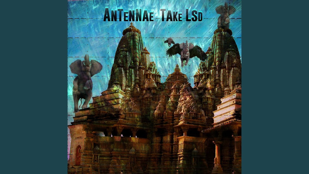 Take LSD - YouTube