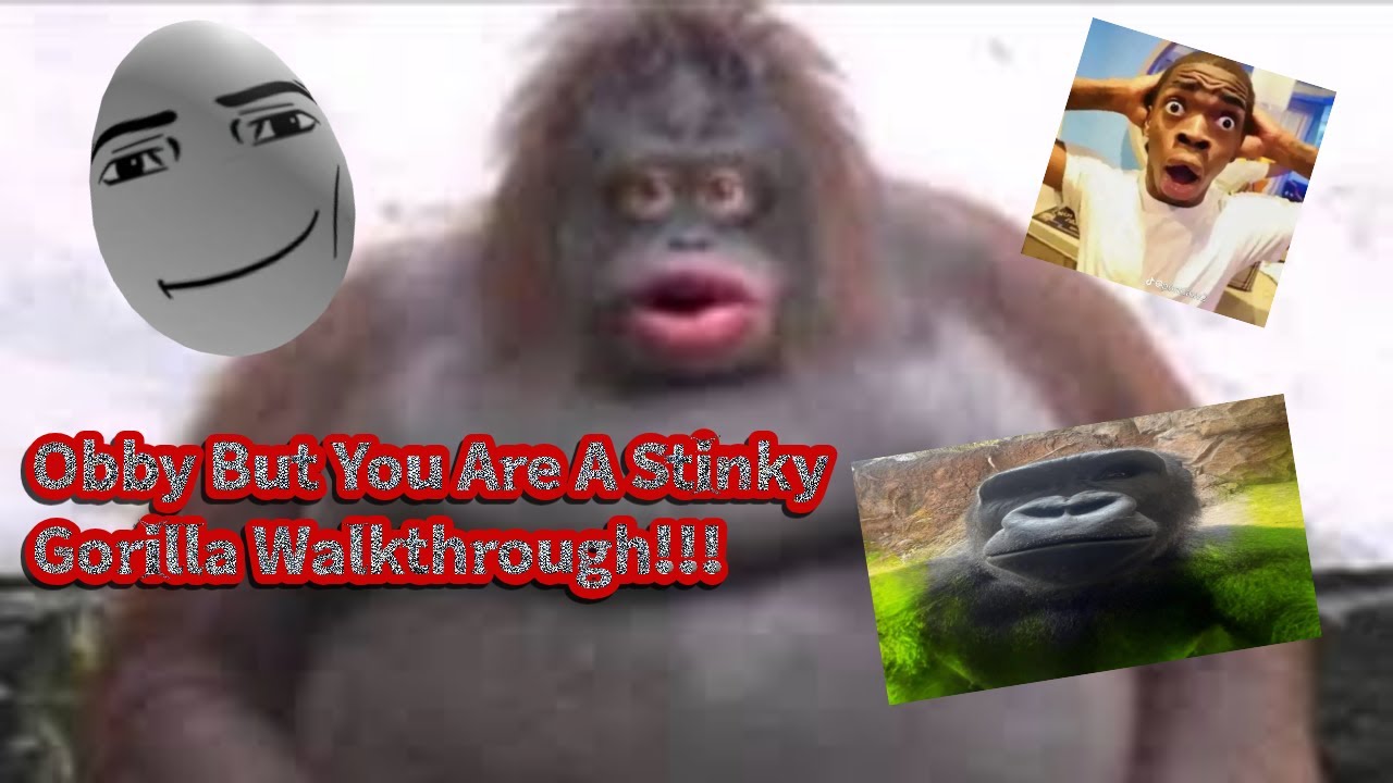 Obby But You Are A Stinky Gorilla Walkthrough | ROBLOX | Full - YouTube