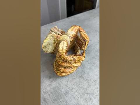 КРАБИК ИЗ КРАБА! - YouTube