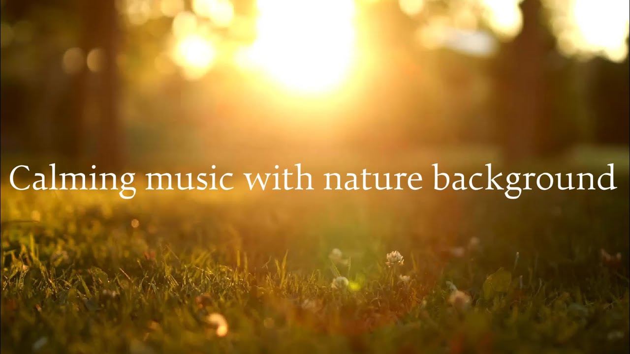 Nature ambiance with relaxing music | relaxing, calming, peaceful ...
