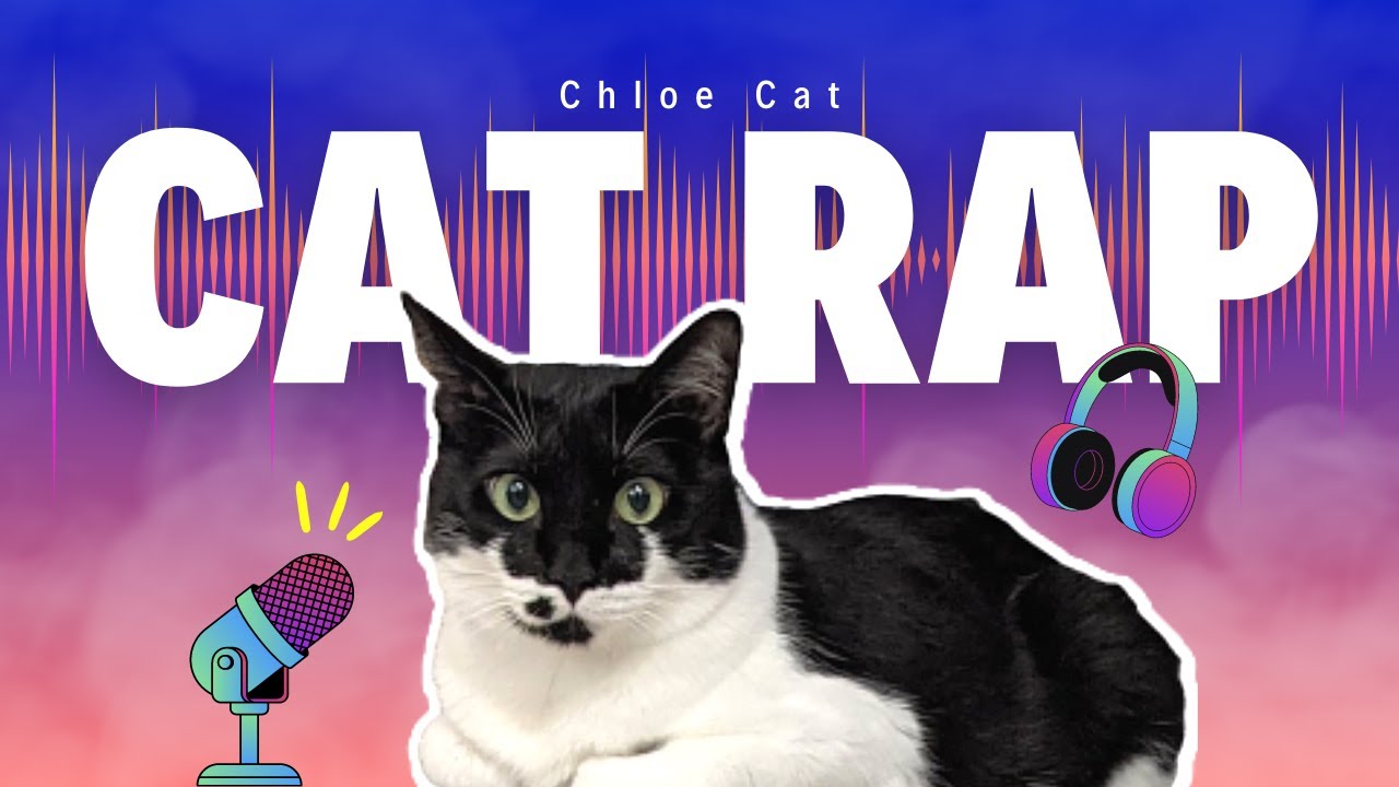 I Wrote My Cat A Rap | Funny Cat Anthem - YouTube