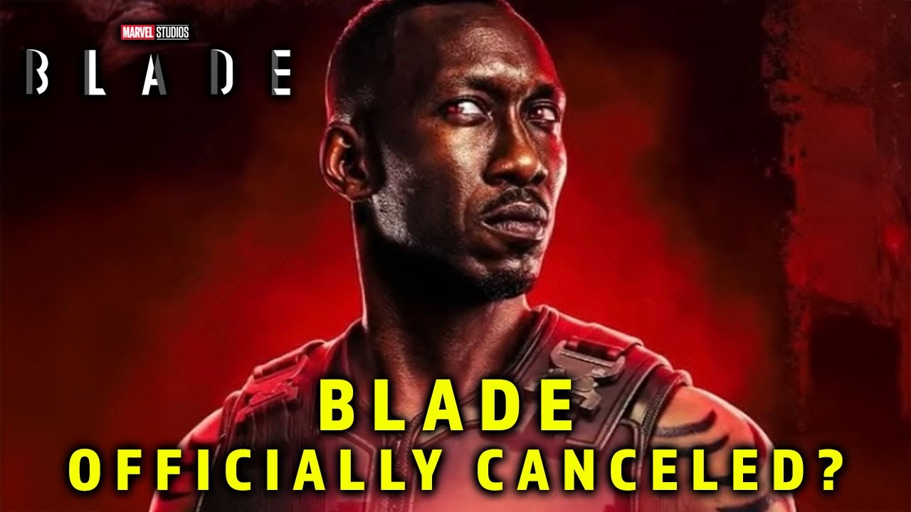 NEW BLADE UPDATE & PLOT DETAILS REVEALED! Midnight Sons Future - YouTube