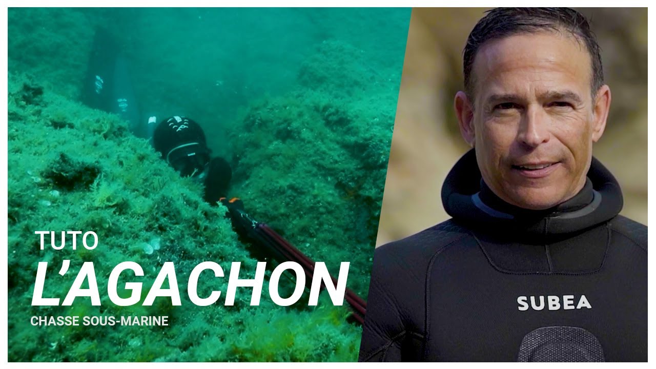 TUTO - La technique de l'agachon en pêche sous-marine 🤿 | Decathlon ...